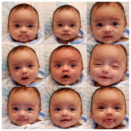 Inside/Outside: Different Facets/Different Faces